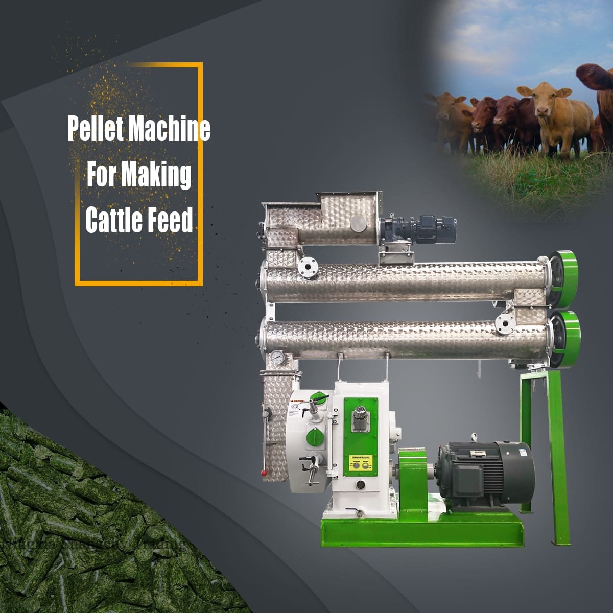 Unveiling the Price and Cost of 10 T/H Cattle Feed Manufacturing ...
